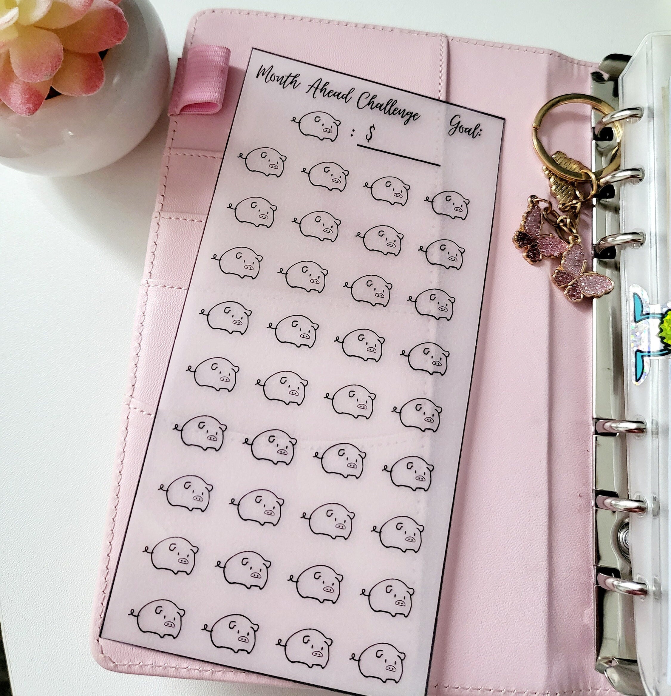 Matte Vellum Month Ahead Laminated Savings Challenge - Etsy