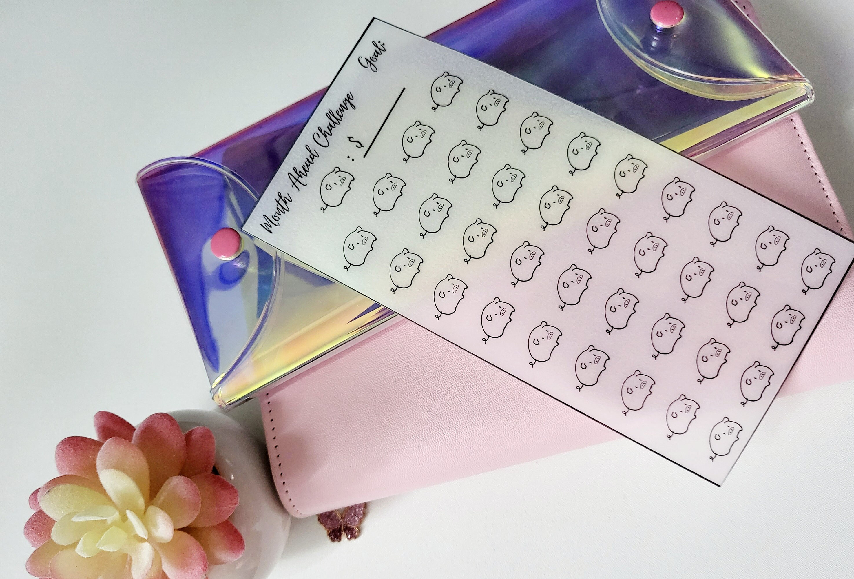 Matte Vellum Month Ahead Laminated Savings Challenge - Etsy