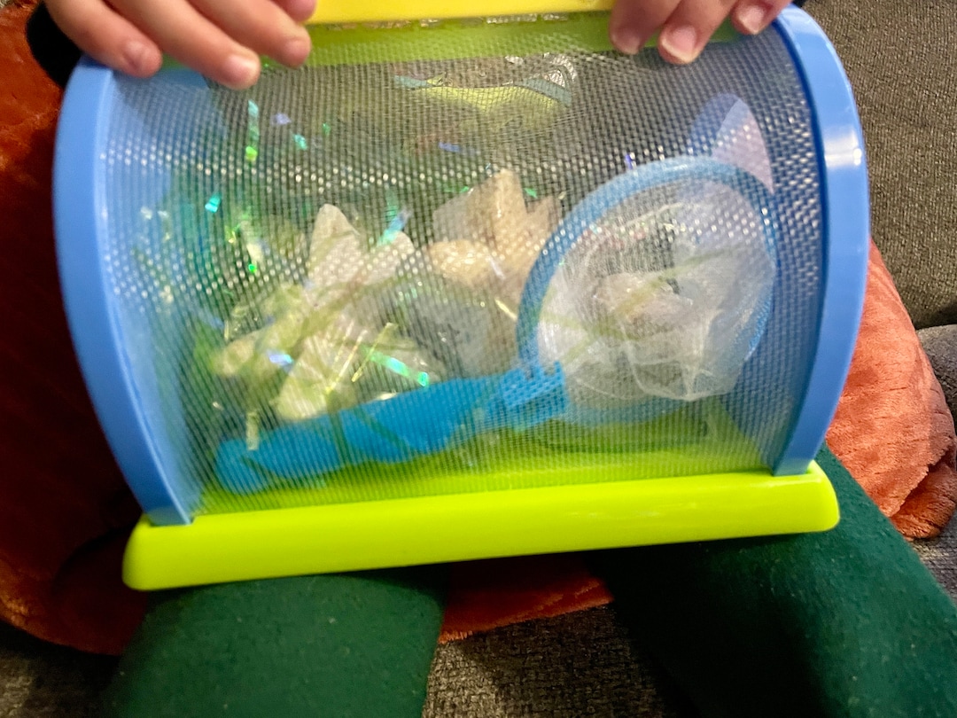 Insect Bath Bombs in Bug House Easter Basket With Bug Shaped Bath Bombs ...