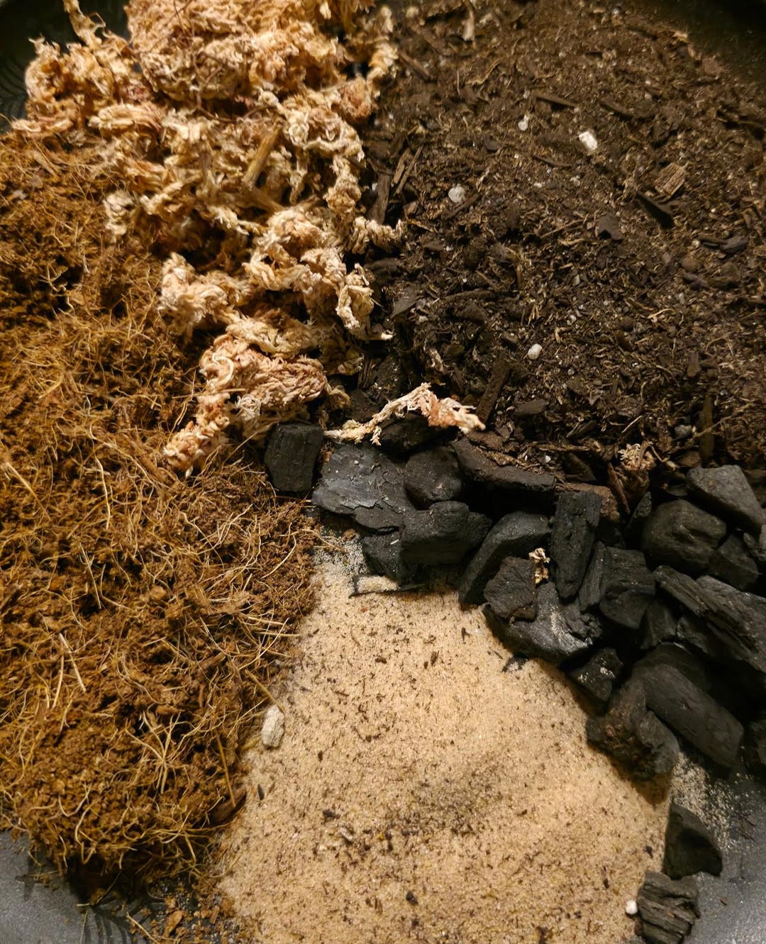 Bioactive Soil Mix - Etsy