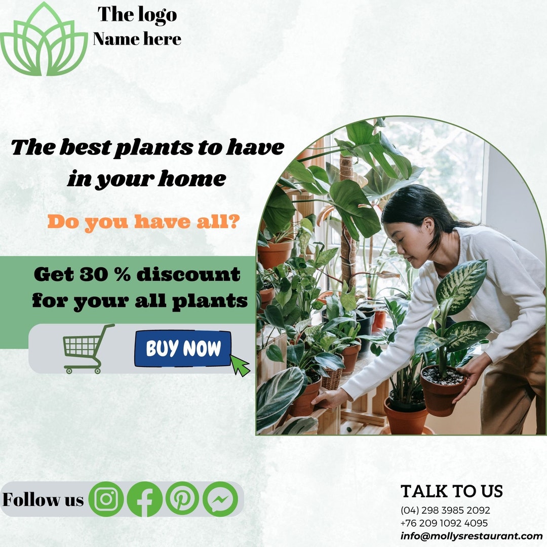 10 Indoor Plants Ad Online Instagram Post Plants Sell Promo - Etsy