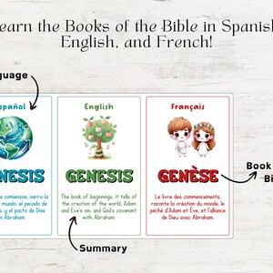66 Books of the Bible: Trilingual Educational Cards, Activity for Kids ...
