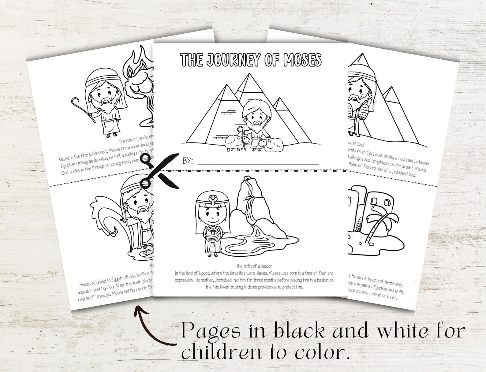 The Journey of Moses Printable for Kids, Printable Mini Book, Kids ...