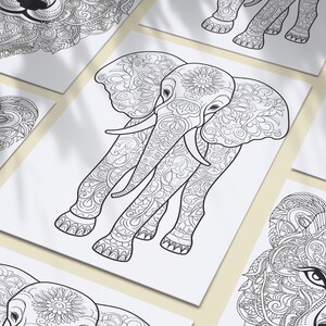 50 Animal Coloring Pages | Coloring Book | Wild Mandala Magic | Digital ...