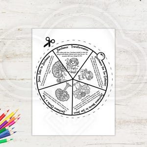The Story of Zacchaeus Coloring Wheel, Bible Story Activity for Kids ...