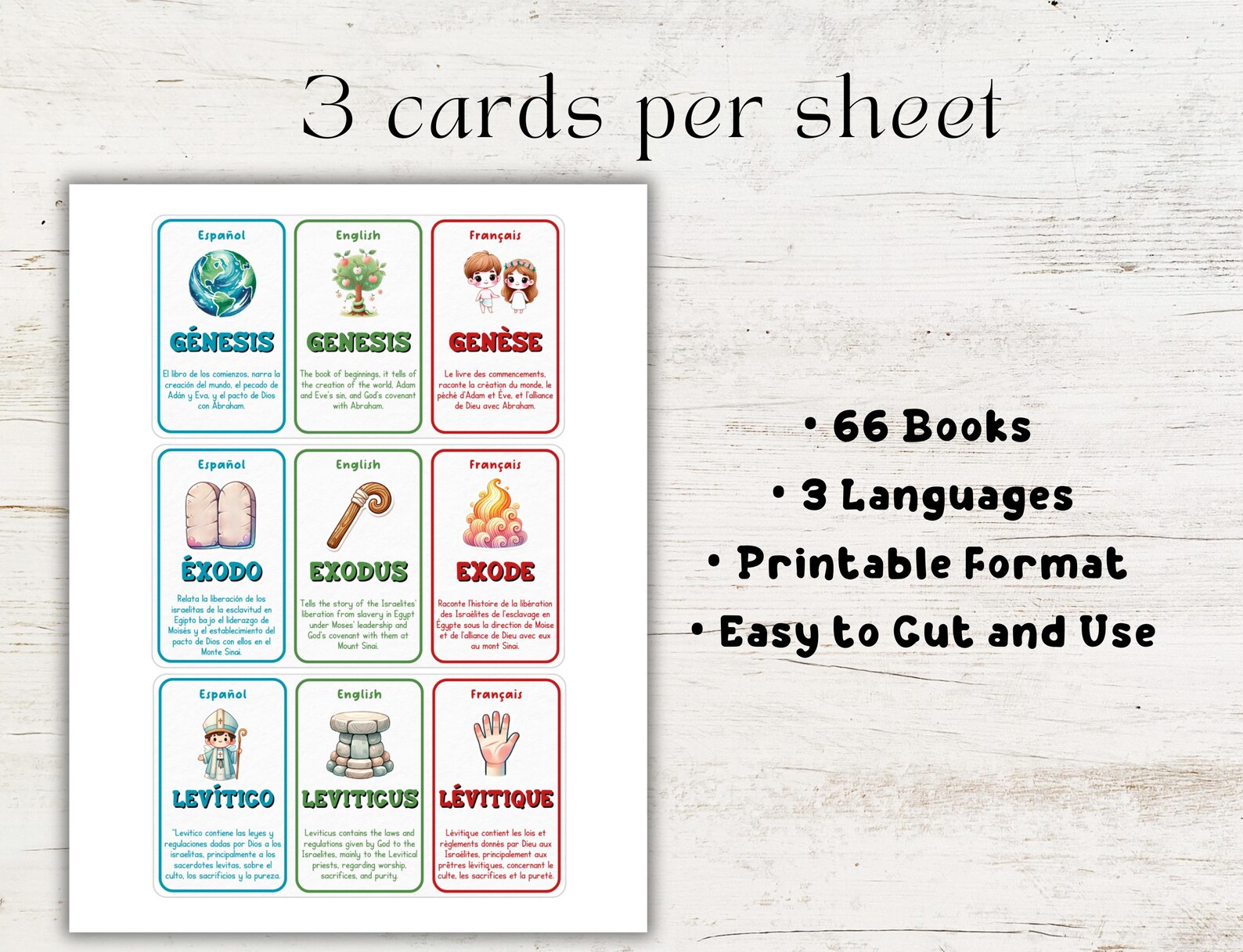 66 Books of the Bible: Trilingual Educational Cards, Activity for Kids ...