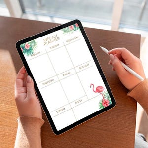 Flamingo Themed Weekly Planner - Etsy