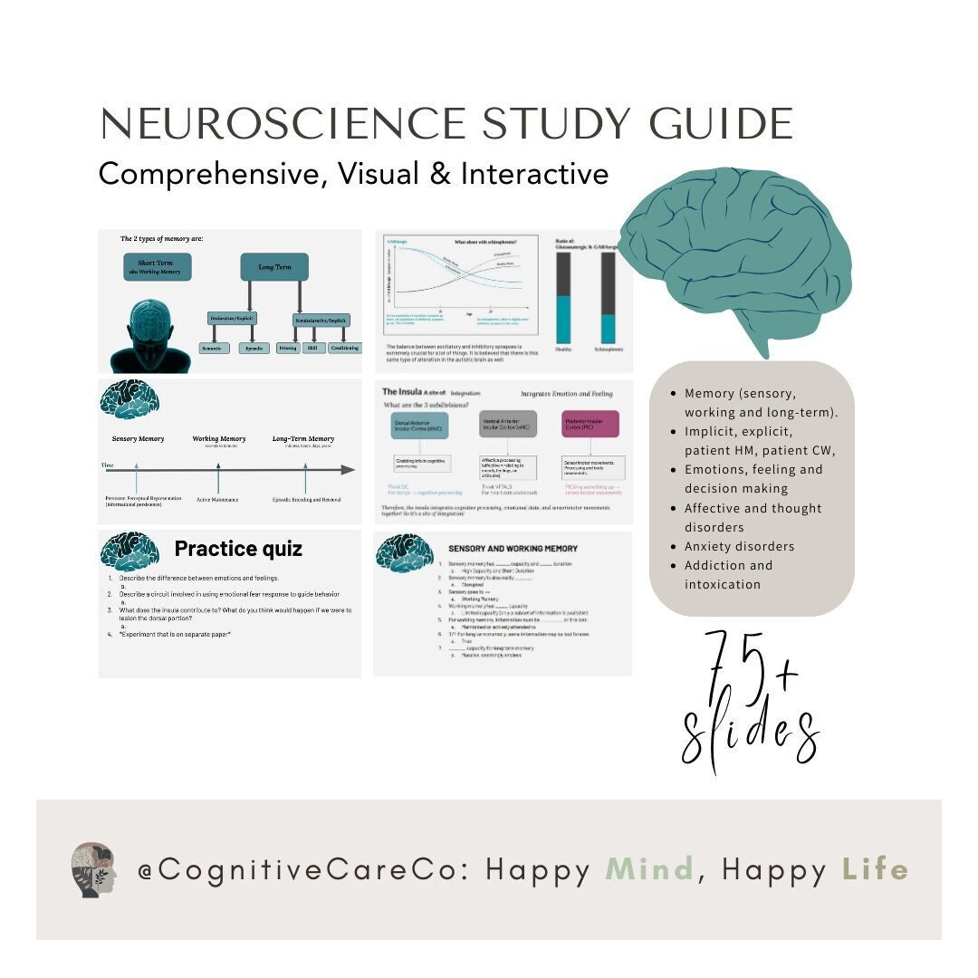 Interactive, Neuroscience Google Slides. Study Slides. Psychology ...