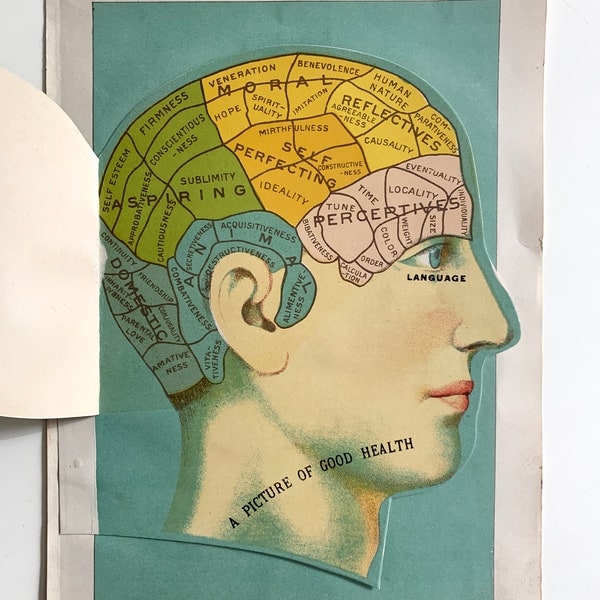 Vintage Medical Chart - Etsy