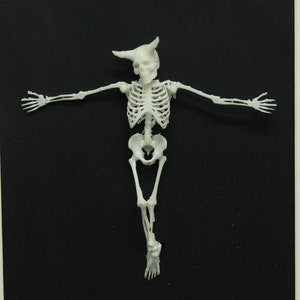 Memento Mori - Crucified Demon Skeleton - MADE TO ORDER - Curiosity ...