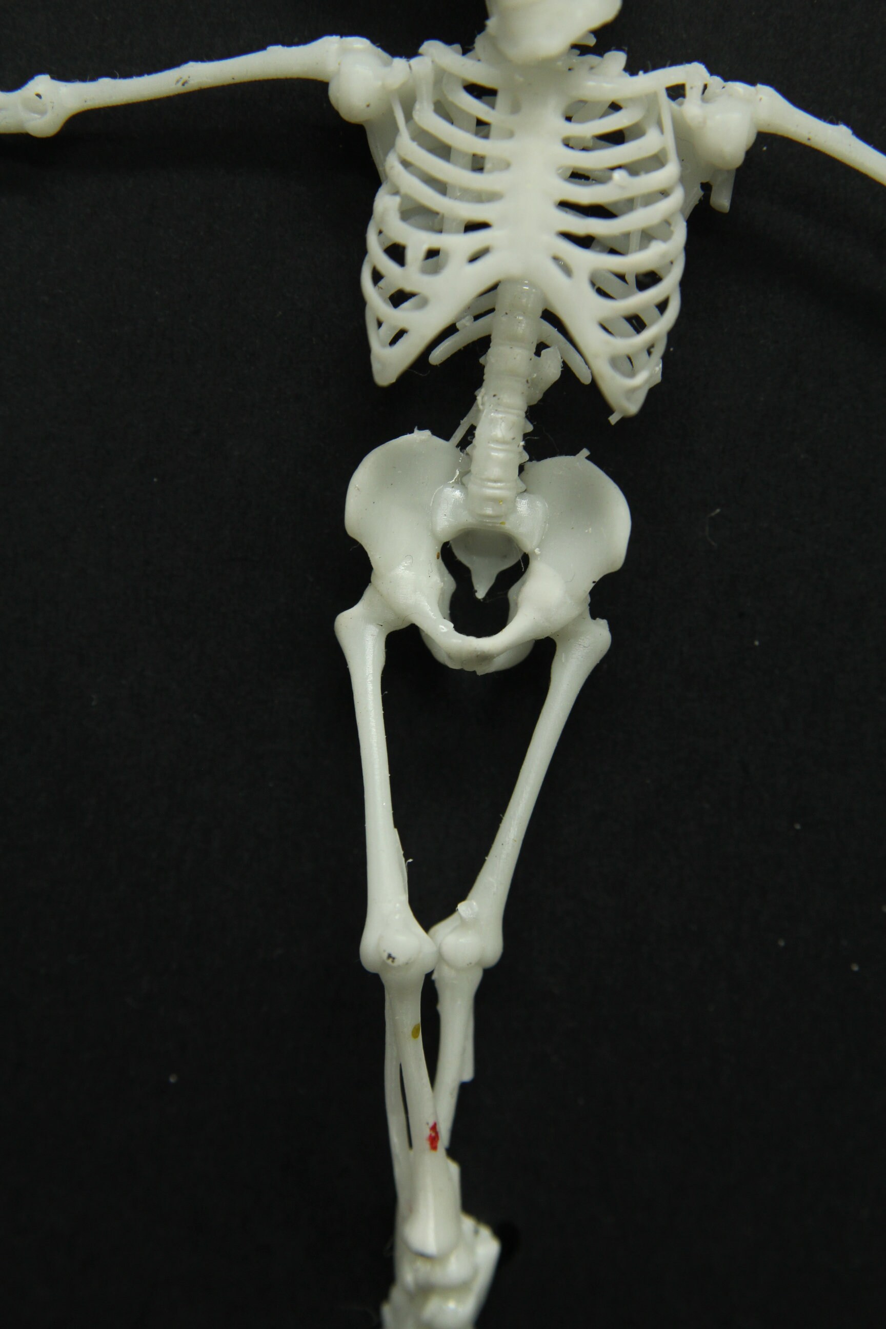 Memento Mori Crucified Demon Skeleton MADE TO ORDER - Etsy