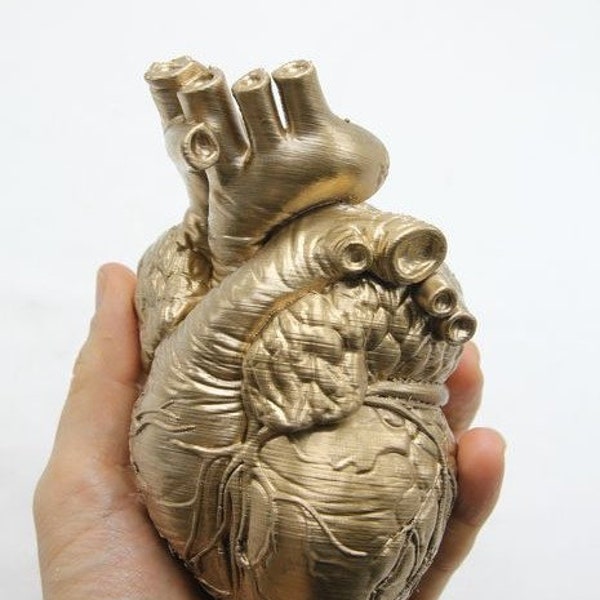 Human Heart - Etsy