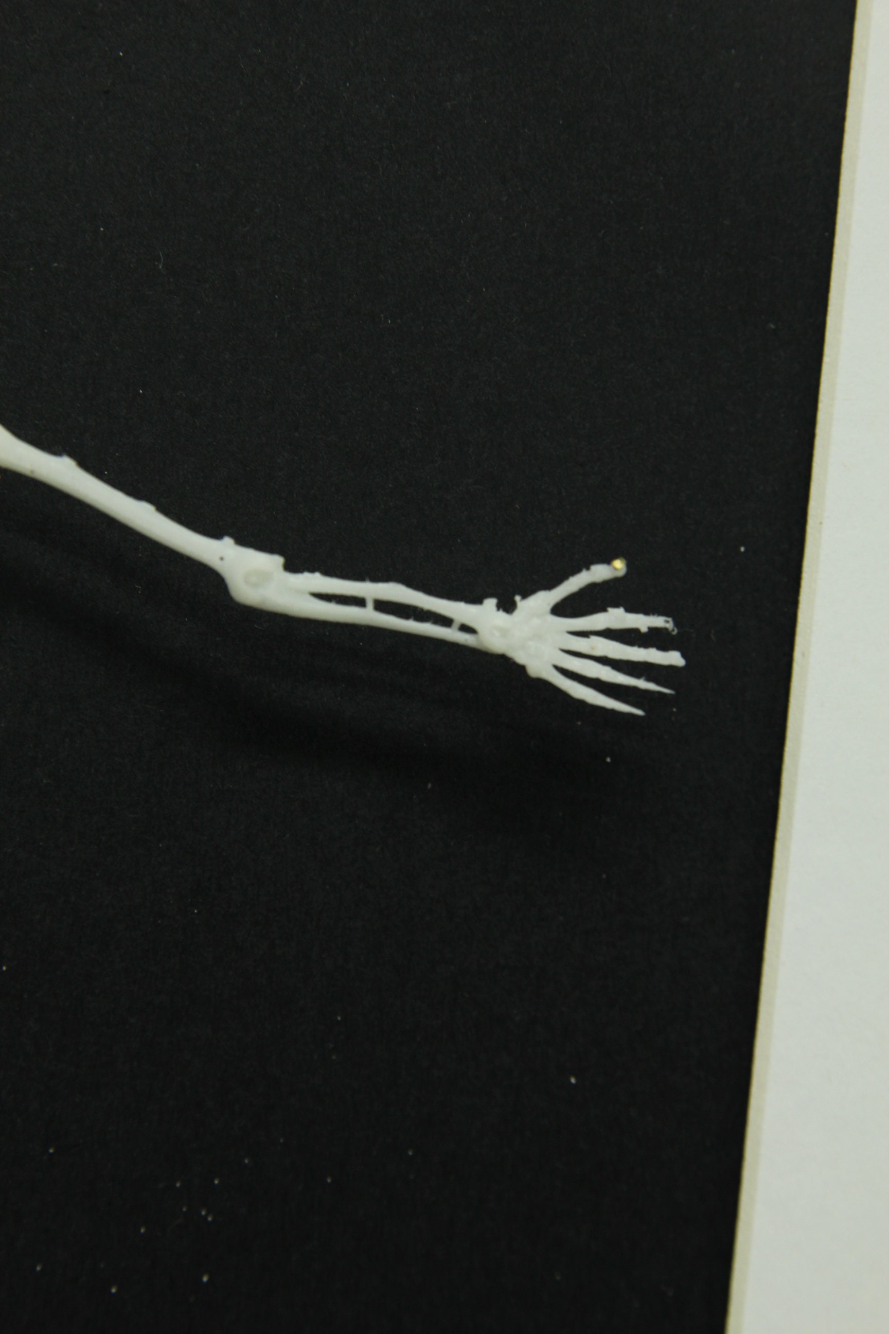 Memento Mori Crucified Demon Skeleton MADE TO ORDER - Etsy