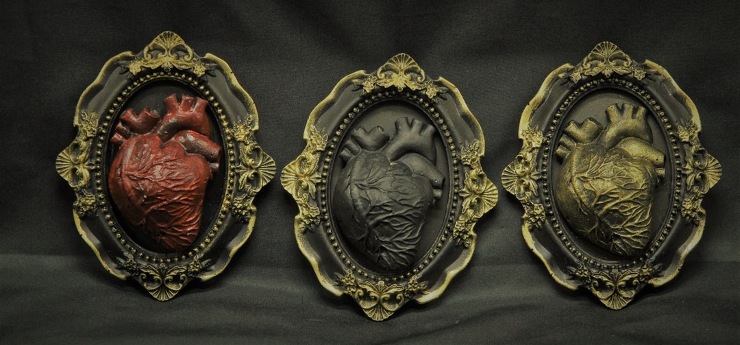 Lot of 3 Anatomical Heart - Occult Gothic Framed - MADE TO ORDER - Etsy