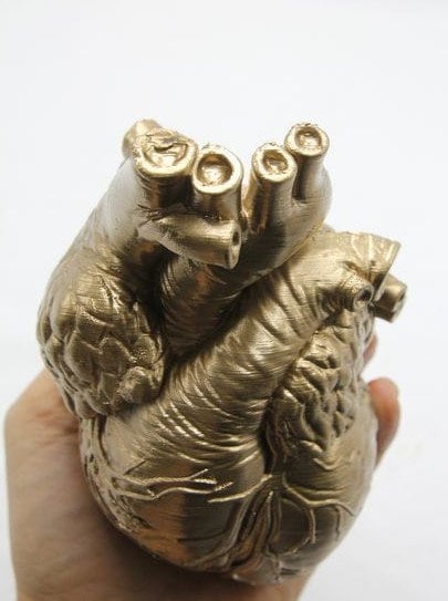 Replica of an Anatomical Human Heart MADE TO ORDER - Etsy