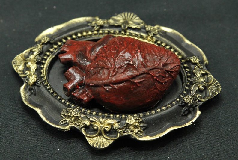 Anatomical Heart Occult Gothic Framed - MADE TO ORDER - Etsy