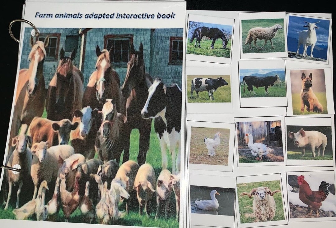 Farm Animals Adapted Interactive Busy Book Special Education Autism ...