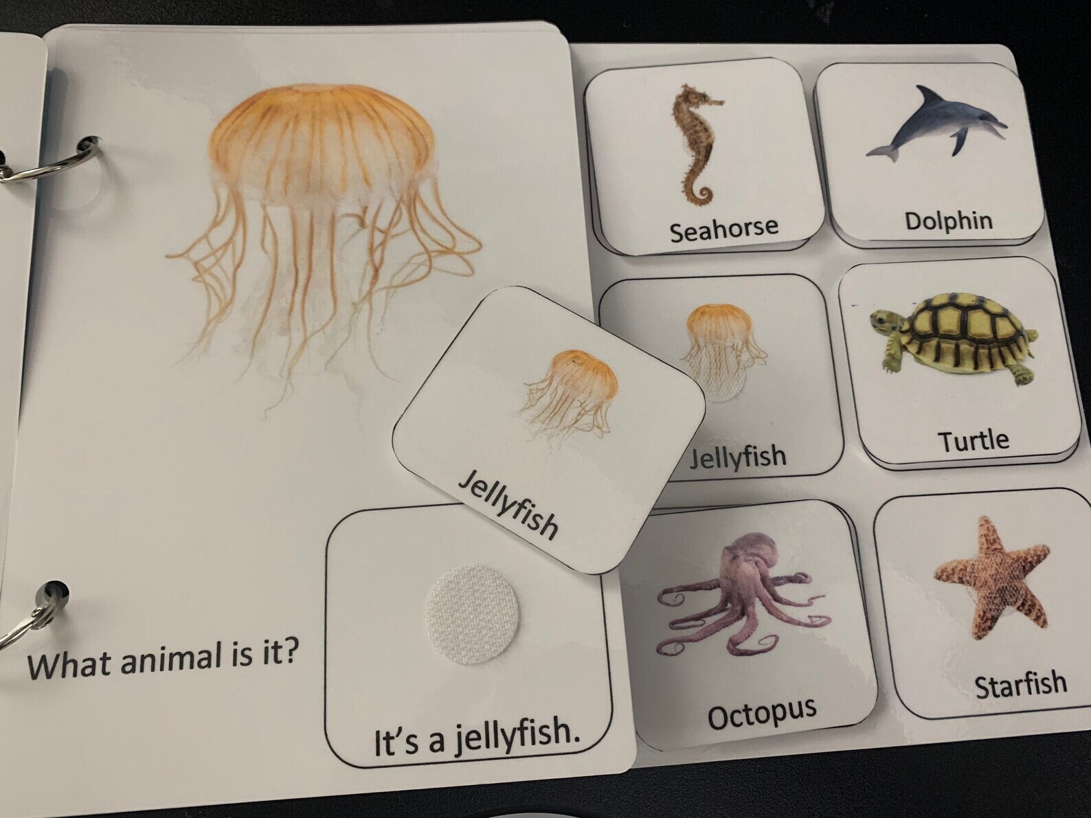 Sea Animals Adapted Book for Kids Speech Therapy Interactive Book ...