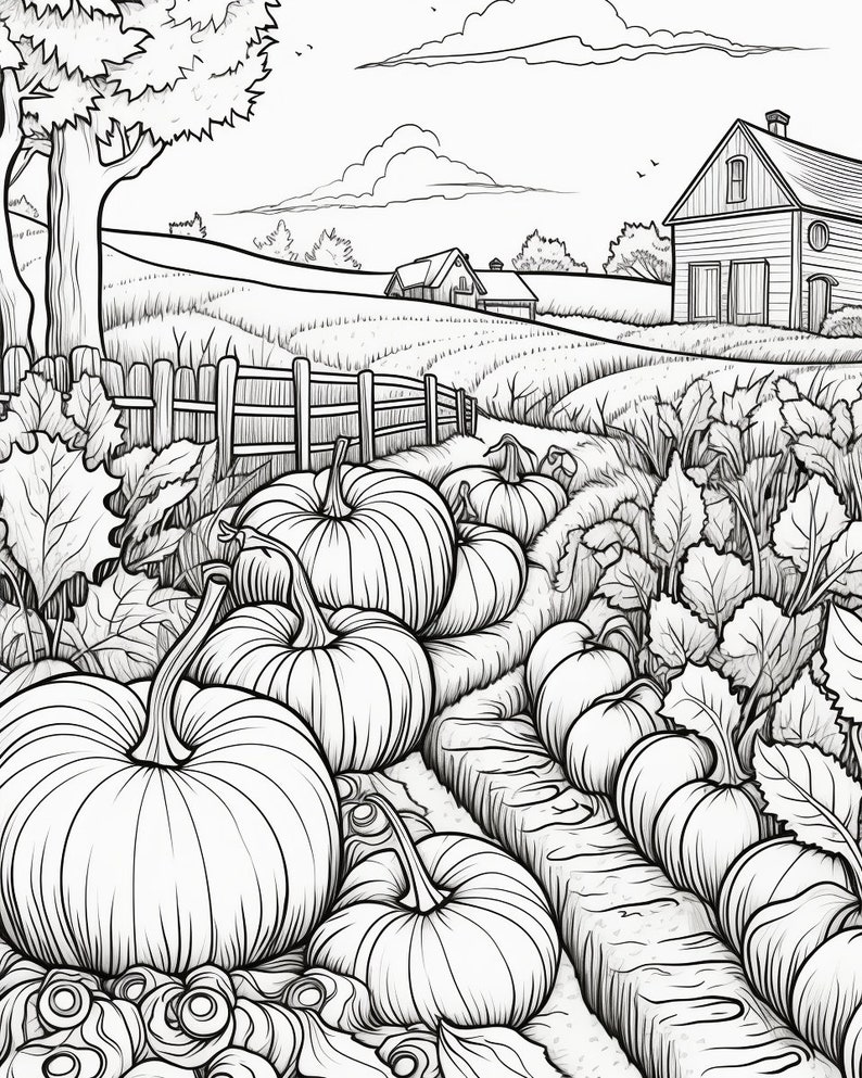 Pumpkin Patch at the Farm - Etsy