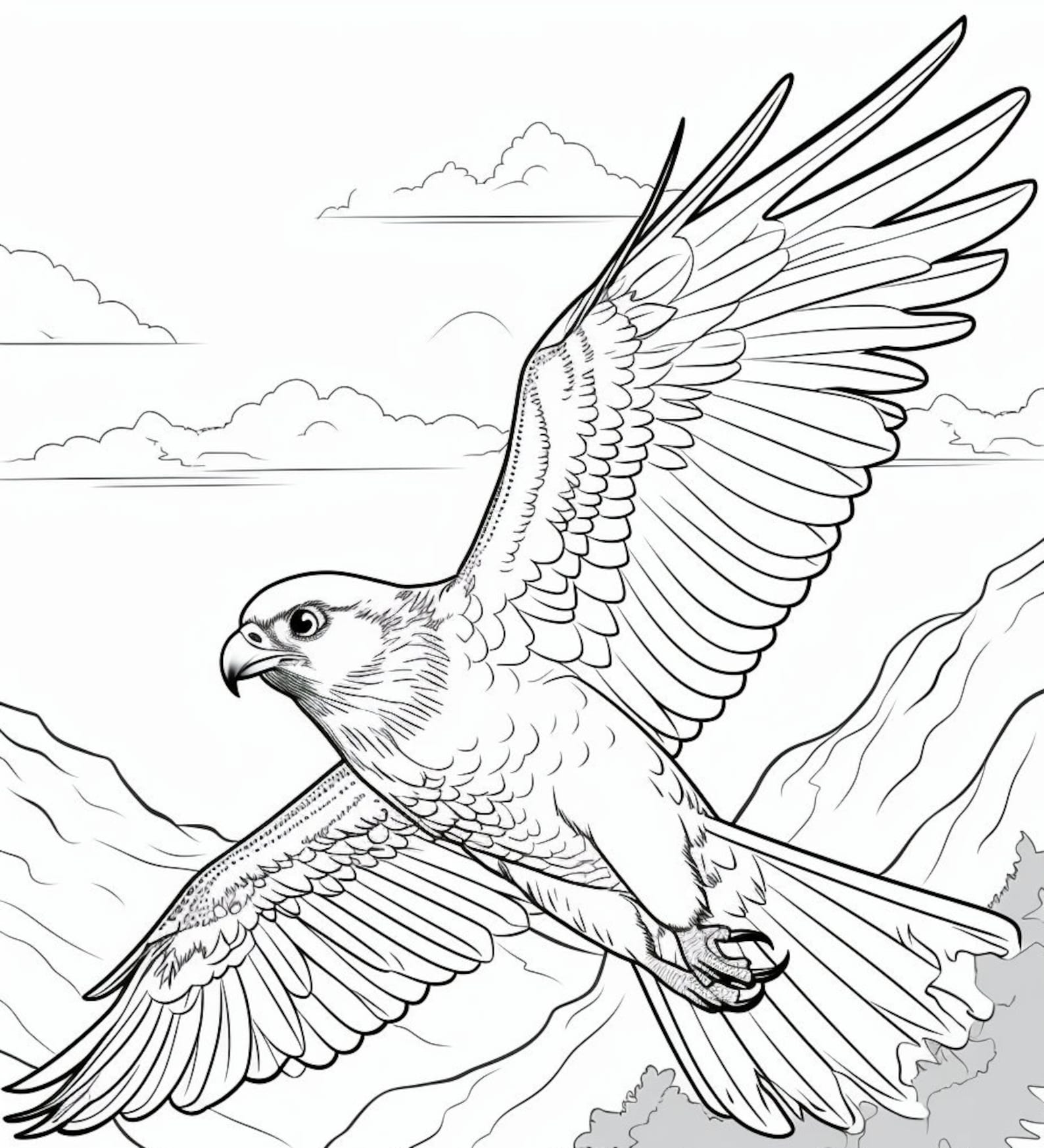 Majestic Peregrine Falcon - 4 Coloring Pages - Etsy
