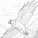 Majestic Peregrine Falcon - 4 Coloring Pages - Etsy