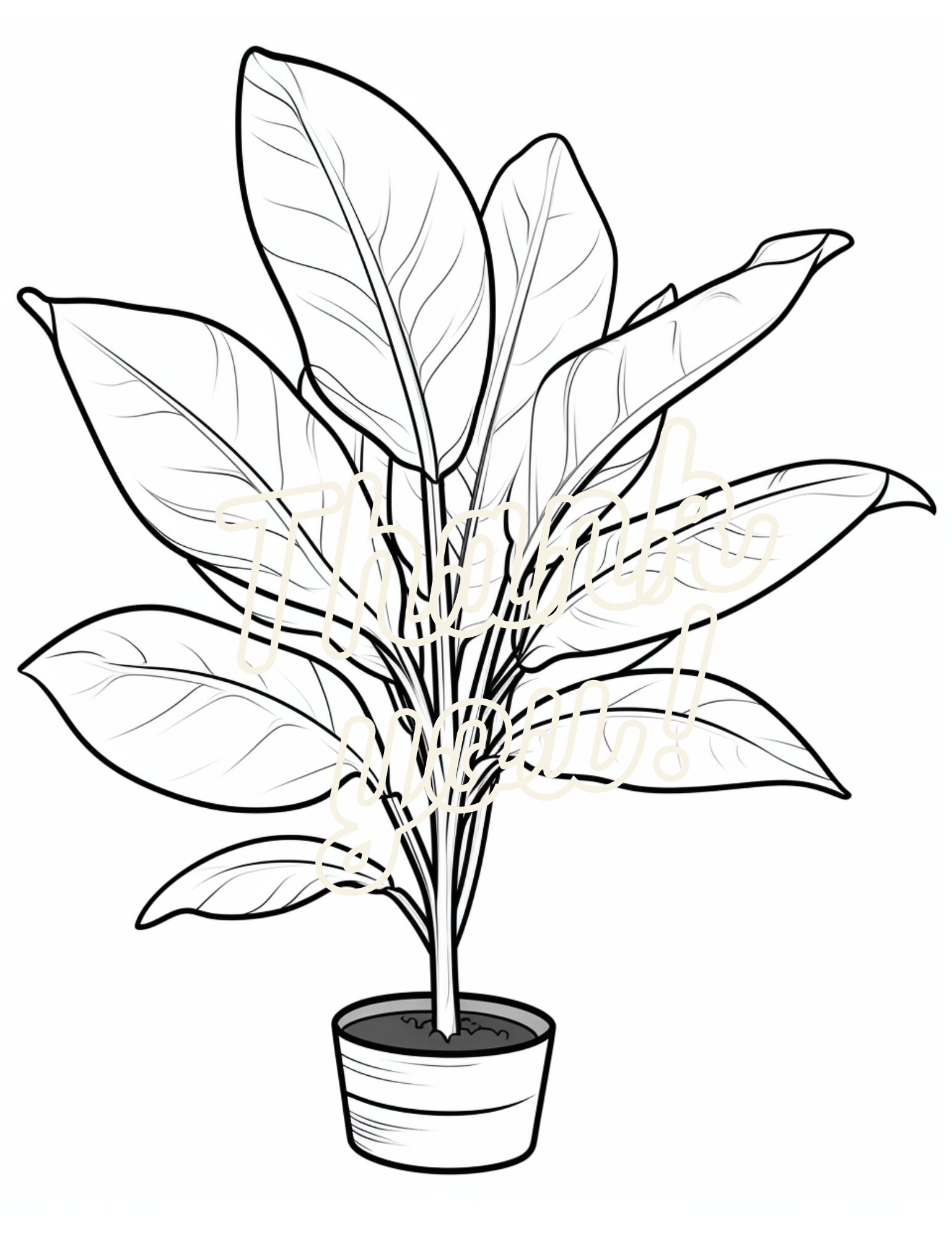 Houseplant Haven - 4 Digital Coloring Pages - Etsy