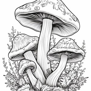 Mushrooms in the Forest: 4 Coloring Pages - Etsy
