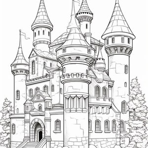 Enchanted Castles: Four Coloring Pages (digital Dowloads) - Etsy