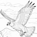 Majestic Peregrine Falcon - 4 Coloring Pages - Etsy