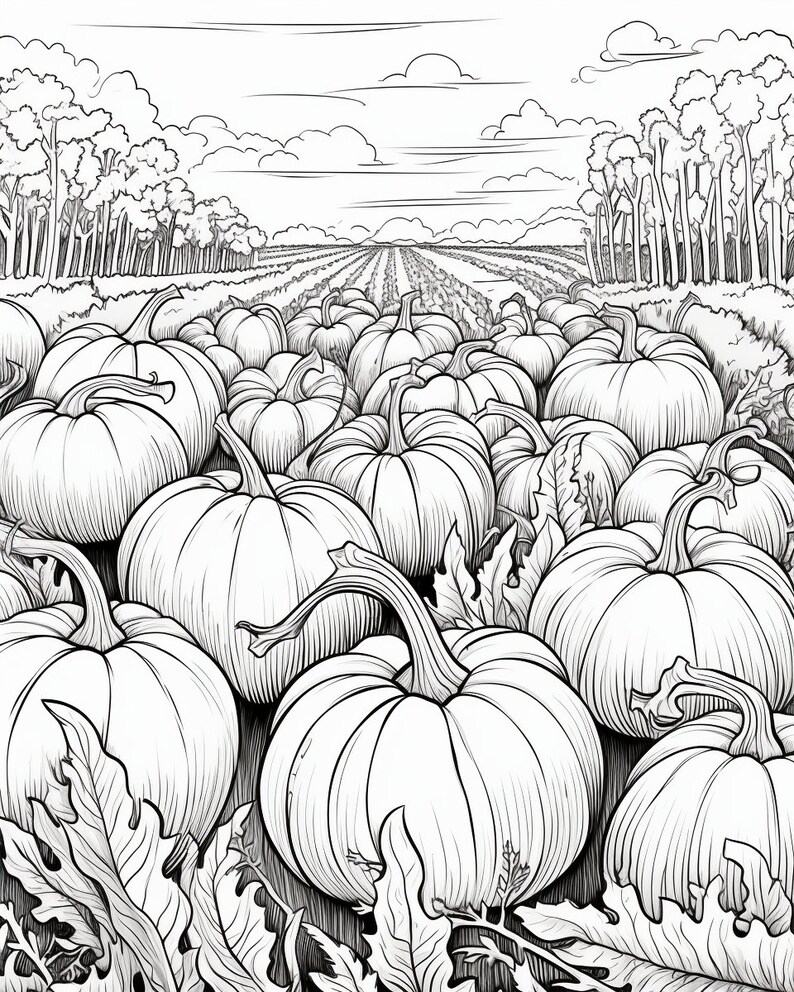 Pumpkin Patch at the Farm - Etsy