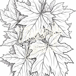 Autumn Leaves Symphony - 4 Digital Downloads - Etsy