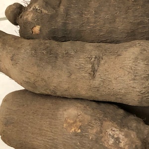New Ghana Yam/fresh Yam. - Etsy