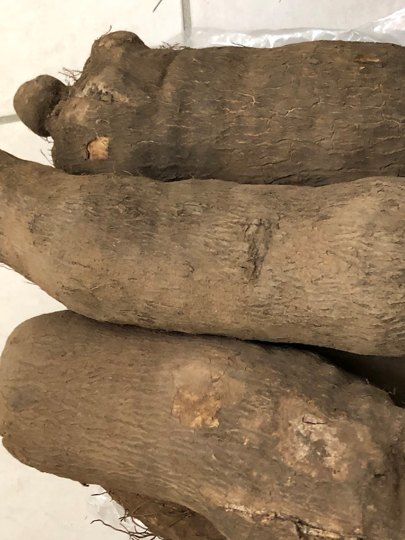 New Ghana Yam/fresh Yam. - Etsy