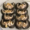Frozen Fresh Jumbo Snails 10pcs. (1 - 2 Days Shipping) - Etsy