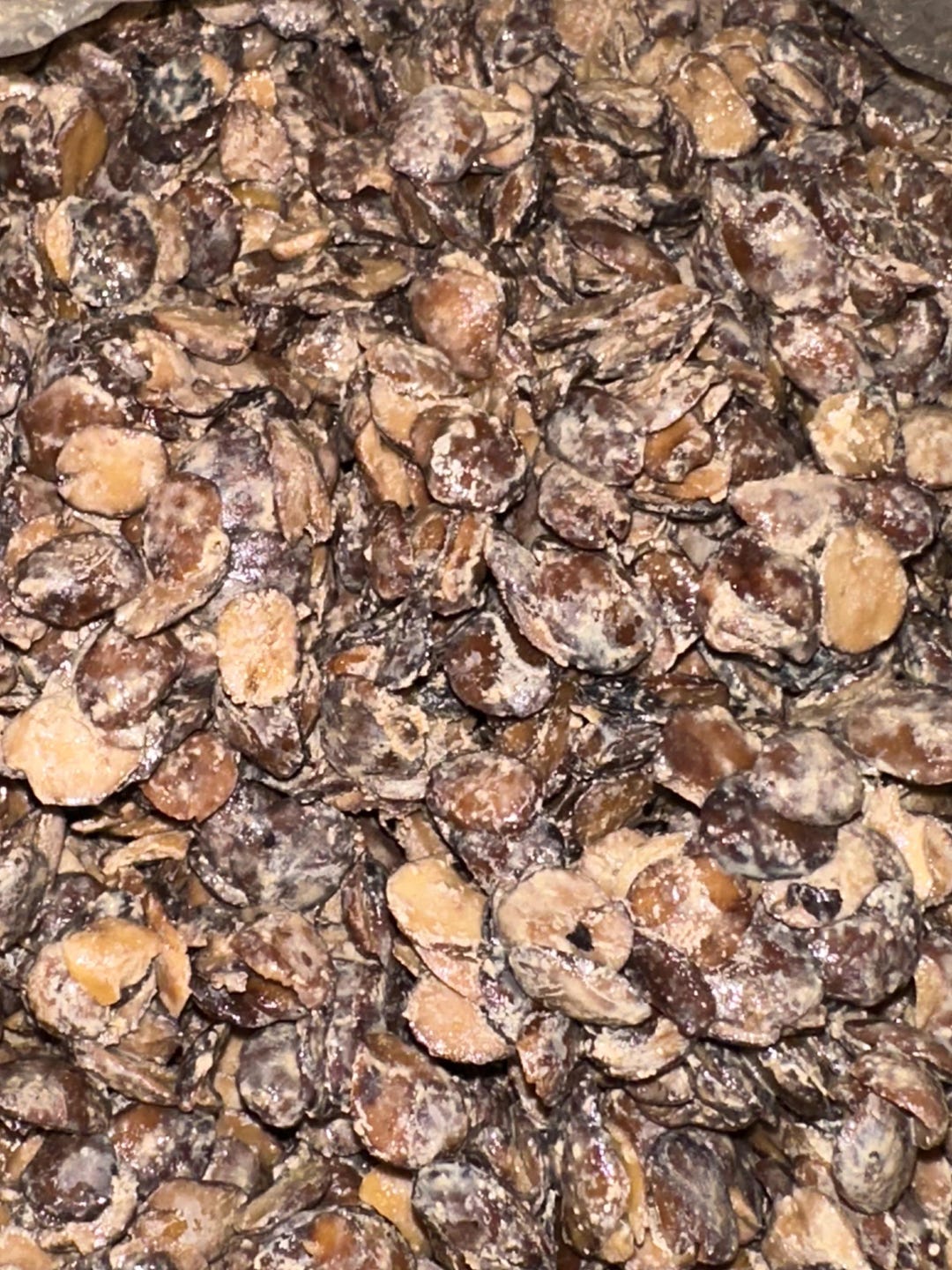 Fresh Frozen Iru (locust Beans) - Etsy