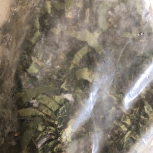 Fresh Frozen Ugu Leaves/fresh Ugu/flutted Pumpkin Leaves/ugu…. (ships ...