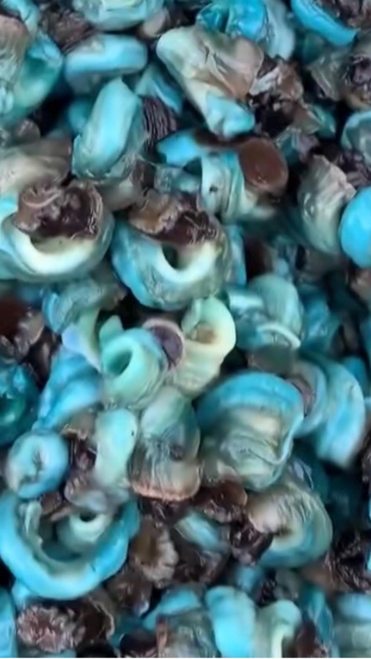 Dry Periwinkle/dehydrated Periwinkle 4oz - Etsy