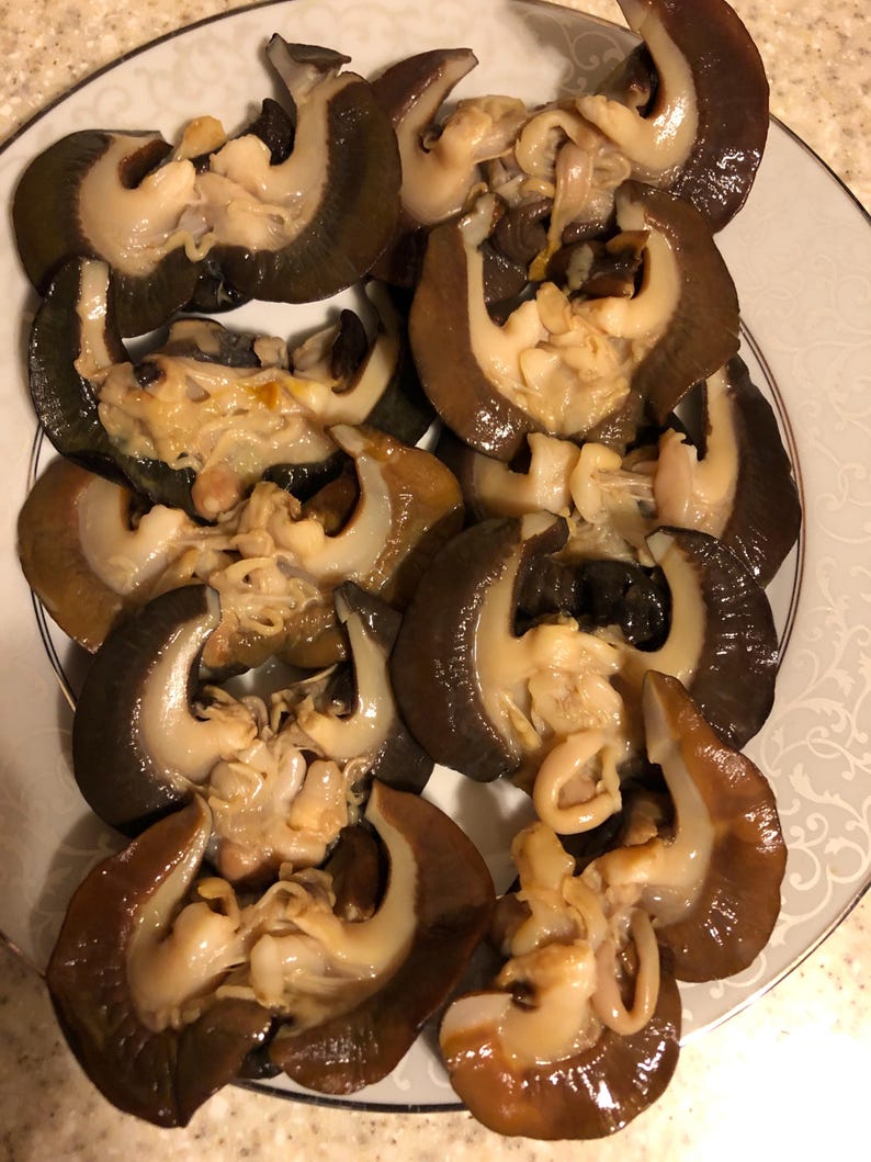 Fresh Frozen Jumbo Snails - Ready to Cook 1lb. - Etsy