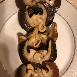 Fresh Frozen Jumbo Snails - Ready to Cook 1lb. - Etsy