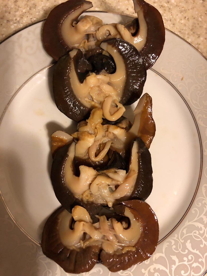 Fresh Frozen Jumbo Snails - Ready to Cook 1lb. - Etsy