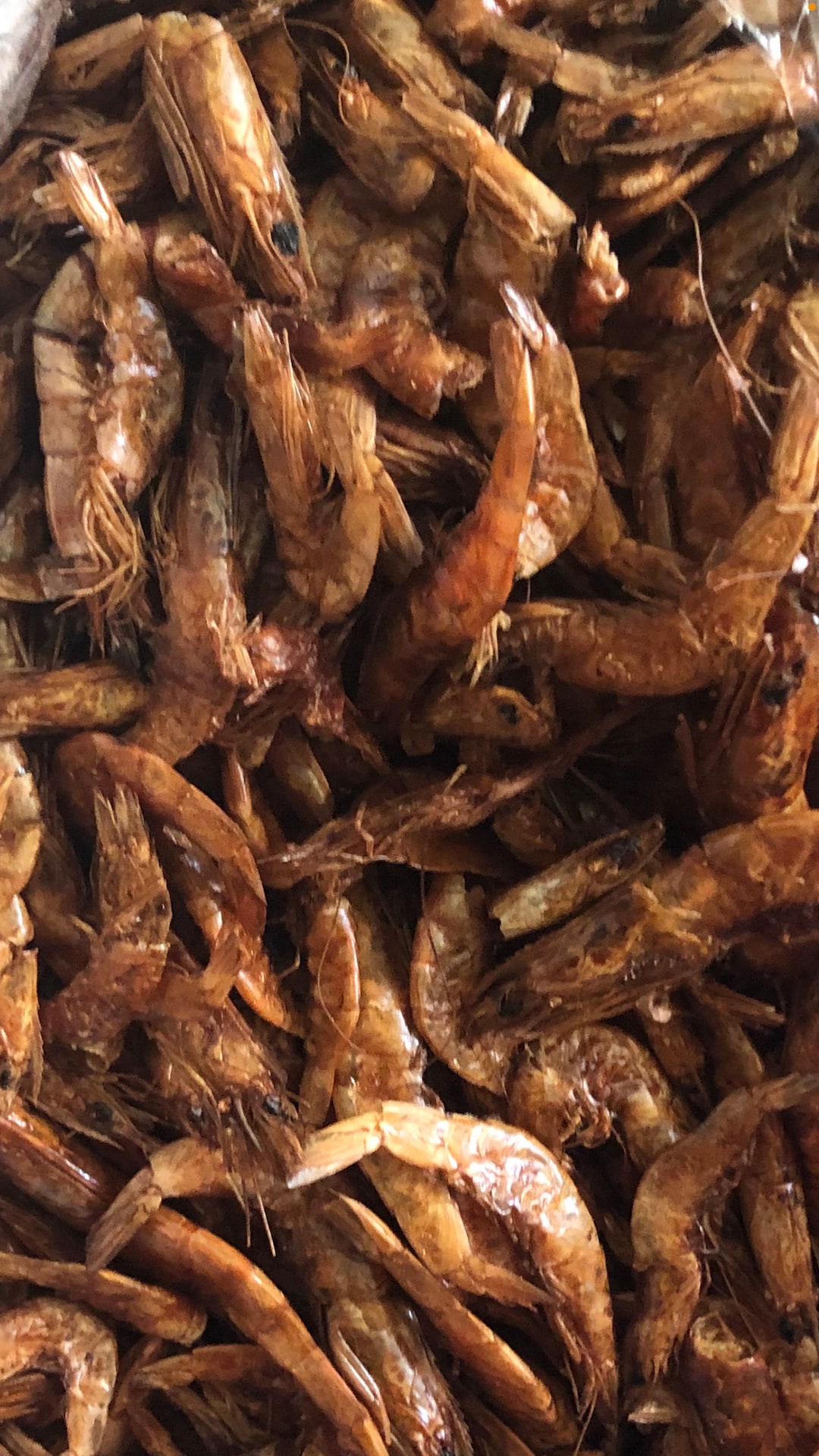 Cotonou Oporo Dry Crayfish/smoked Crayfish/crayfish/dried Shrimp 7oz ...