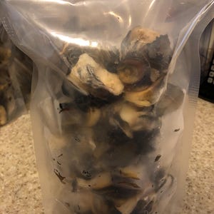 Ngolo/whelk/nkonkor/sea Snail,***ships Only on Monday & Tuesday With ...