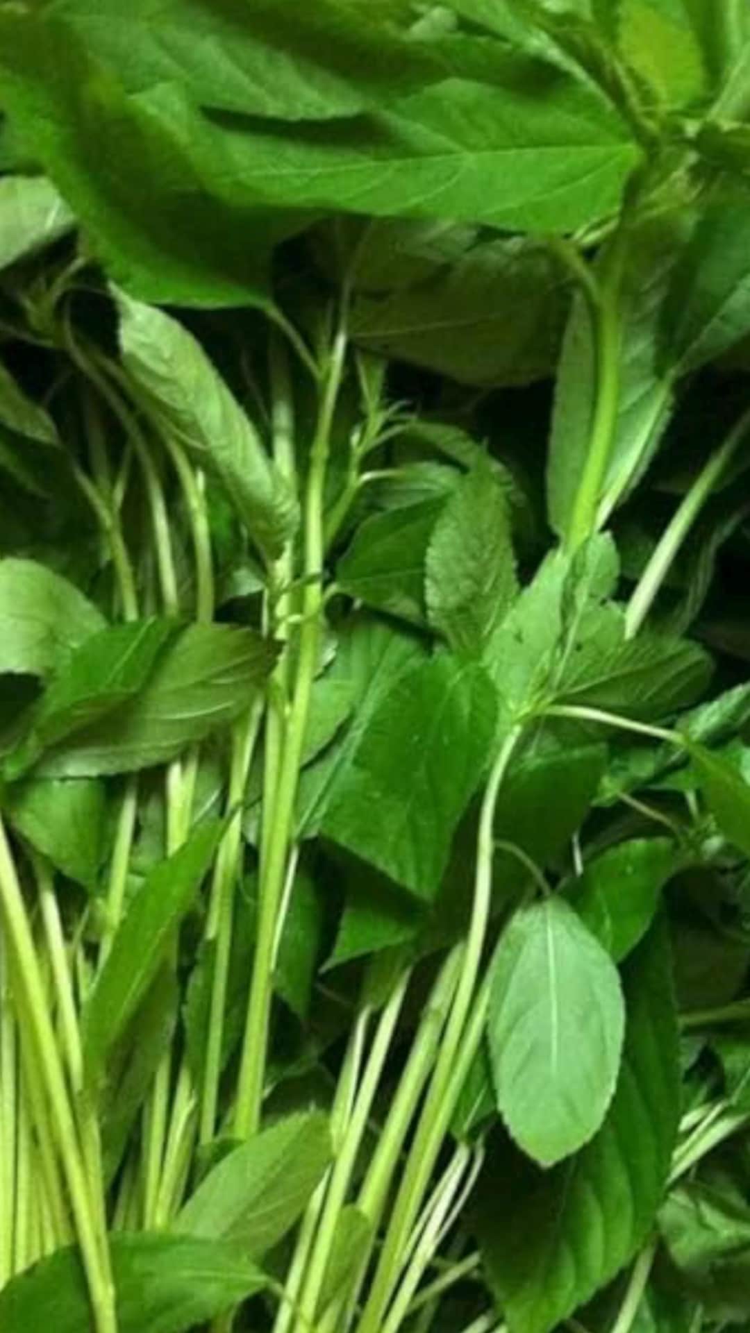 Frozen Ewedu Jute Leaves/lalo/palaver Sauce Leaf/ayoyo (4 Packs) - Etsy