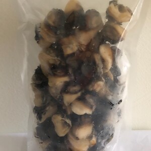Ngolo/whelk/nkonkor/sea Snail,***ships Only on Monday & Tuesday With ...