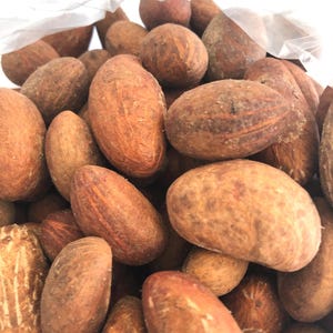 Bitter Kola Nuts / Orogbo - Etsy