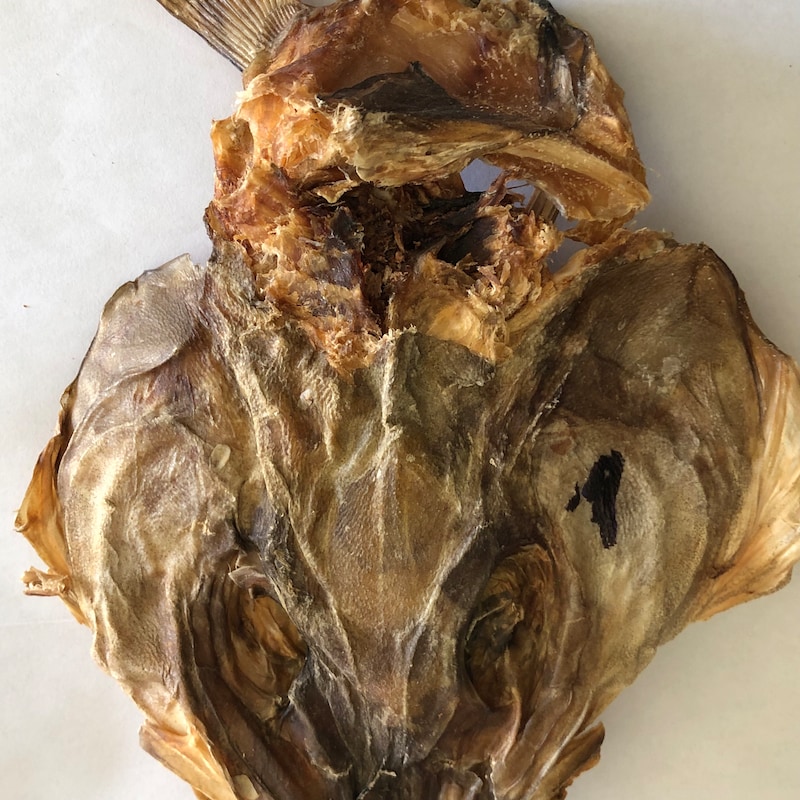 Fish Head - Etsy