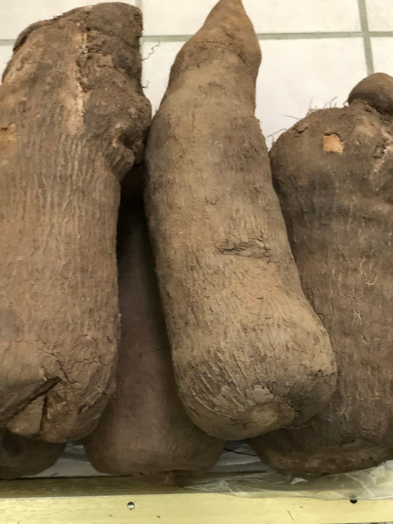 New Ghana Yam/fresh Yam. - Etsy