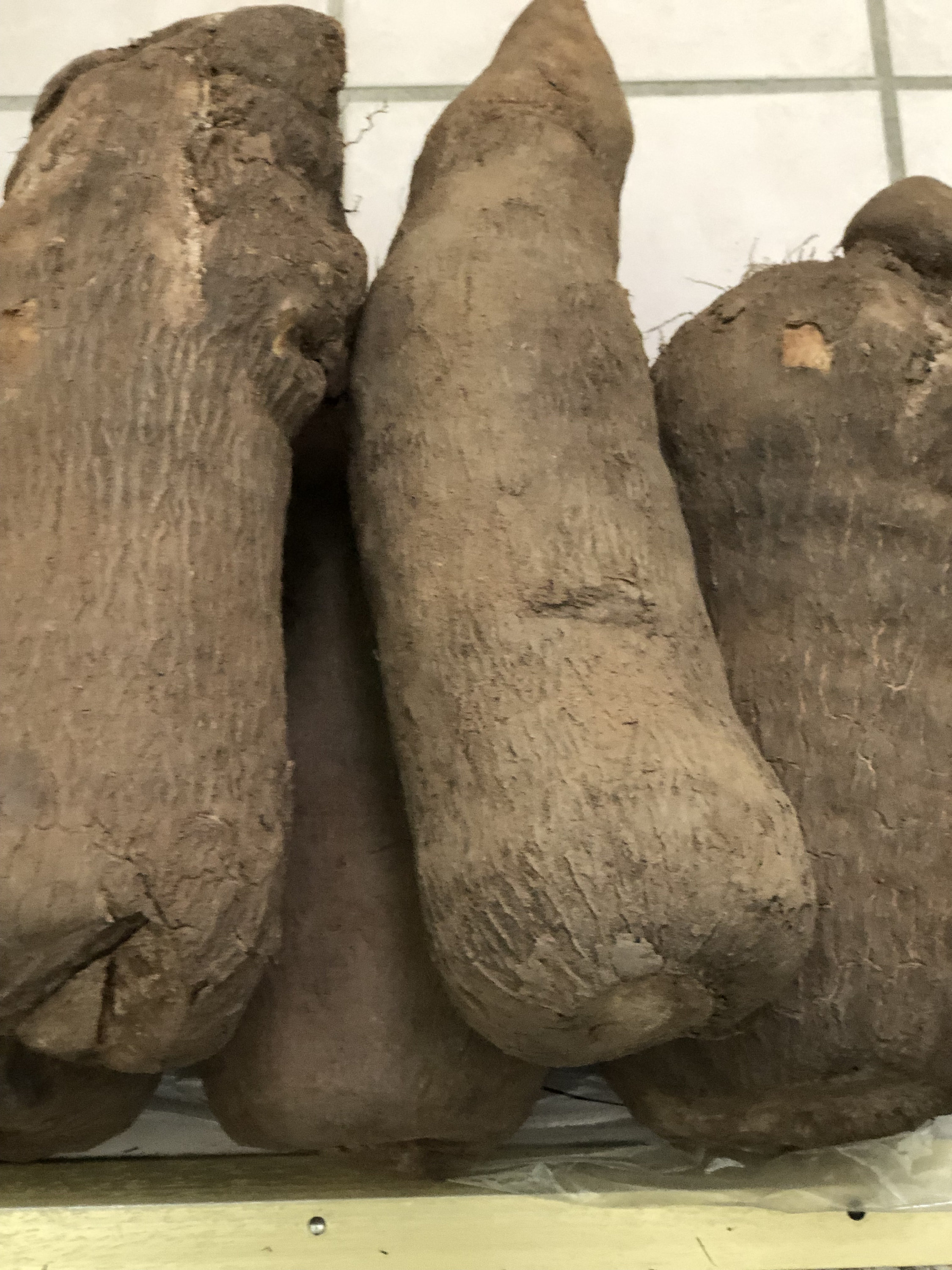 New Ghana Yam/fresh Yam. - Etsy