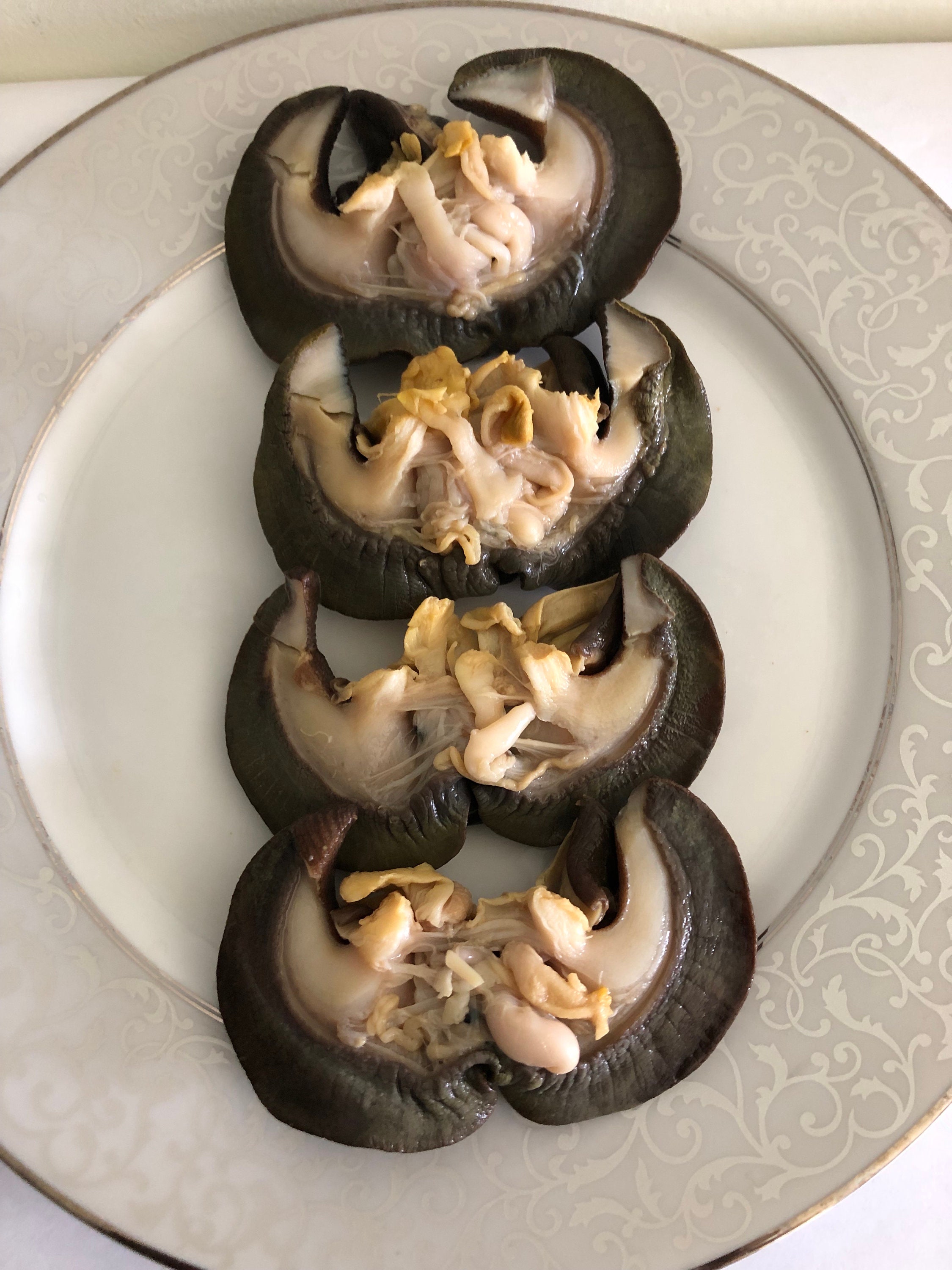 Fresh Frozen Jumbo Snails - Ready to Cook 1lb. - Etsy
