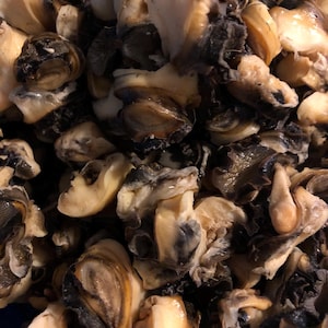 Ngolo/whelk/nkonkor/sea Snail,***ships Only on Monday & Tuesday With ...